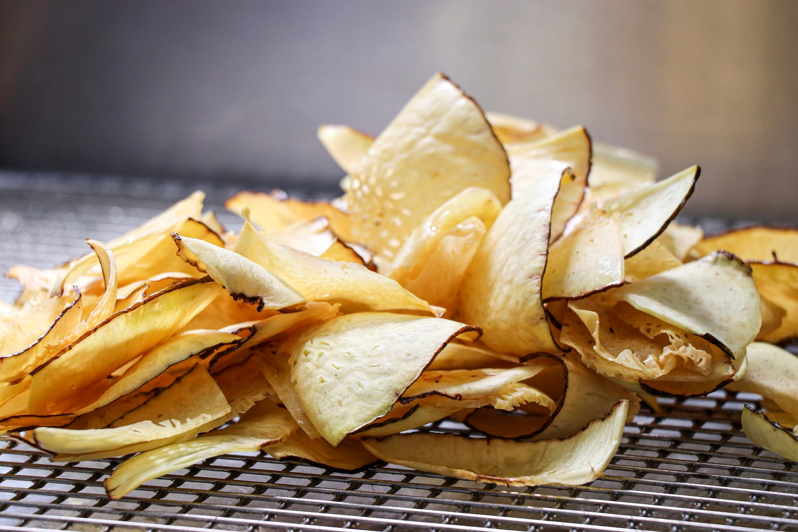 Learn About Breadfruit and it's Journey to Hawaii | 'Ulu - Ulu Mana